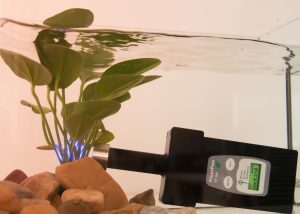 Z991 FluorPen | QubitBiology.com