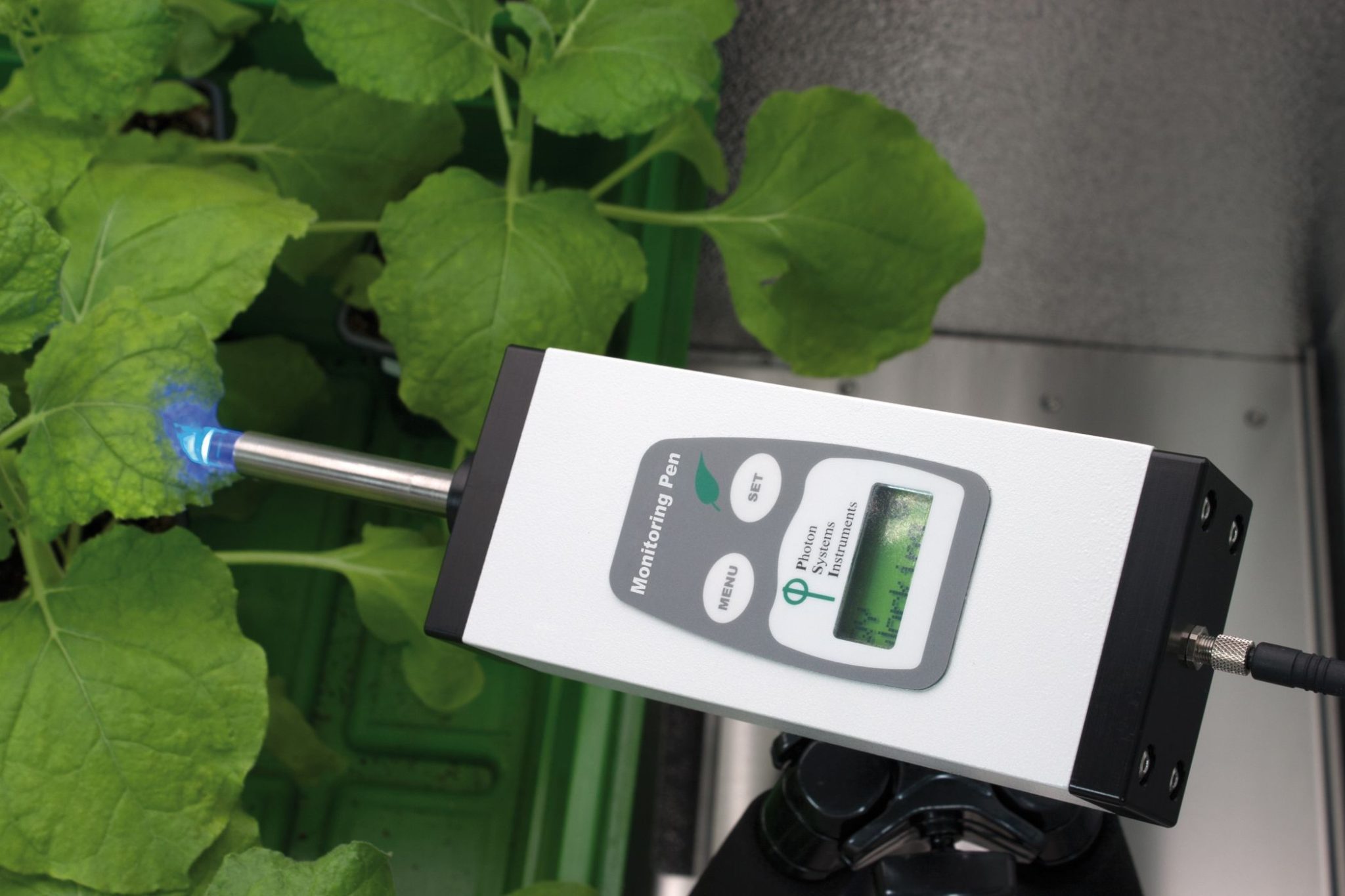 Z991 FluorPen | QubitBiology.com