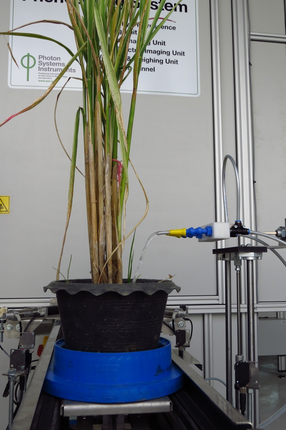 Weighing - Irrigation - Nutrient Delivery | QubitPhenomics.com