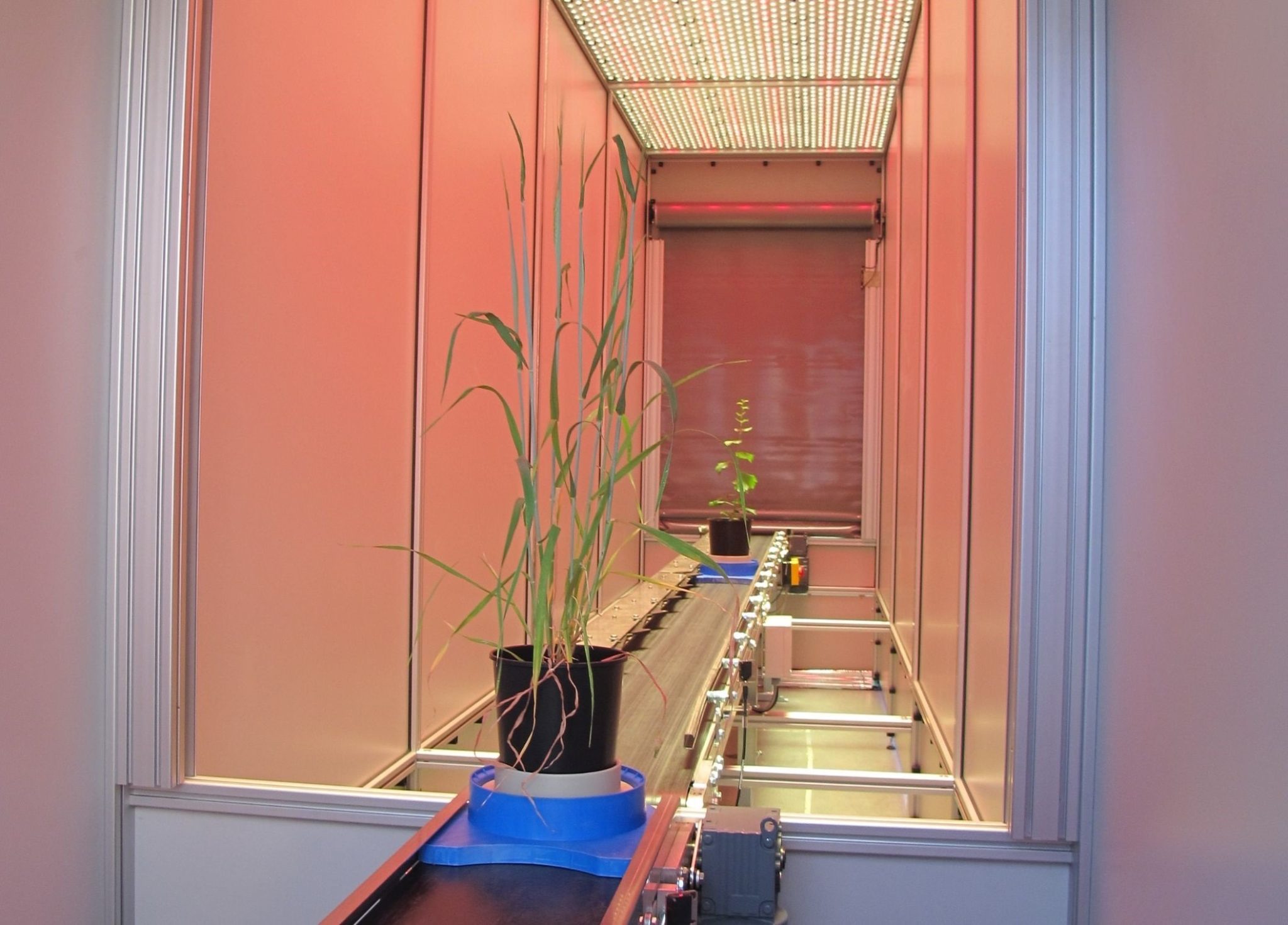 PlantScreen™ Modular Systems | QubitPhenomics.com