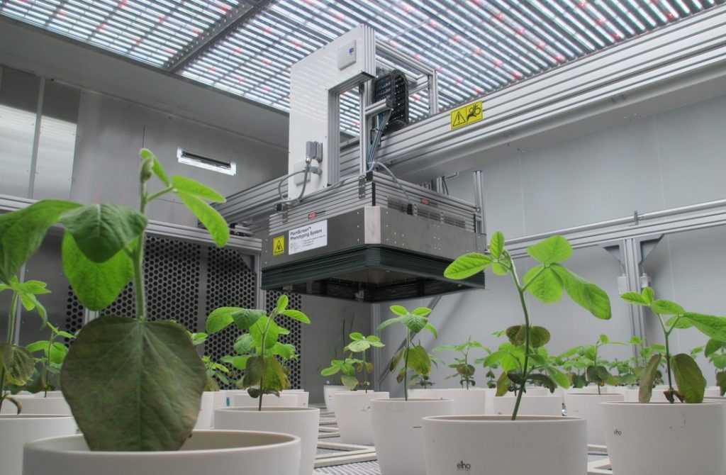 PlantScreen™ Robotic XYZ Systems | QubitPhenomics.com