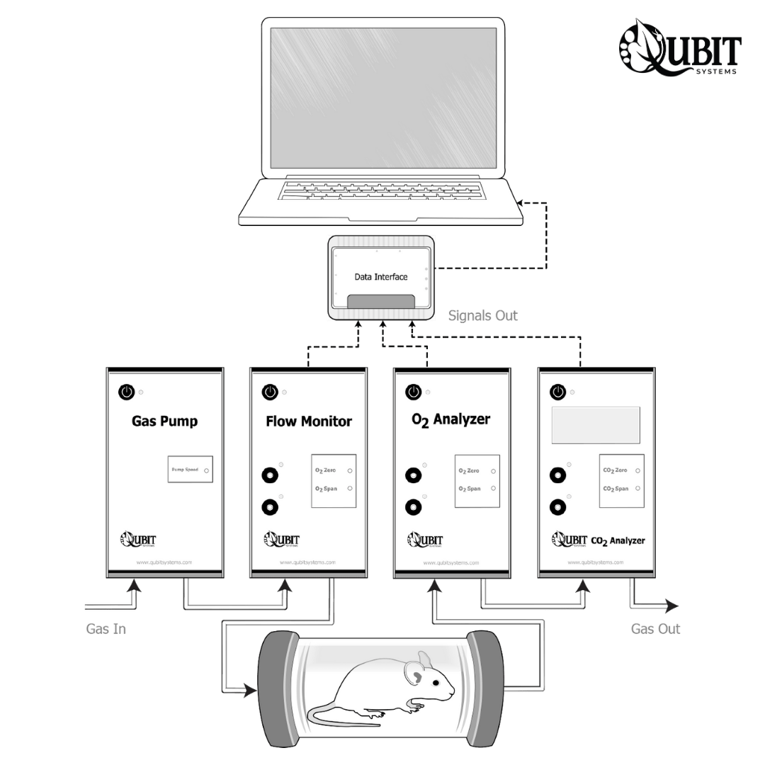 Introduction to Respirometry - Qubit Systems