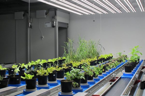 Products | QubitBiology.com